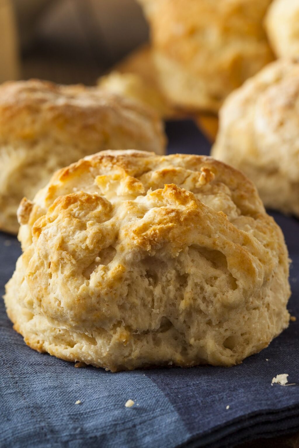 Quick and Easy Buttermilk Biscuits (Weight Watchers) Recipes