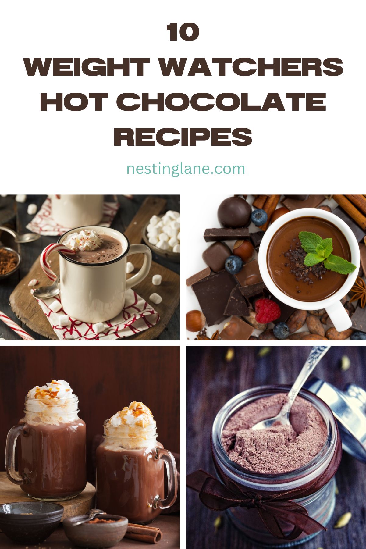 10 Weight Watchers Hot Chocolate Recipes - Nesting Lane