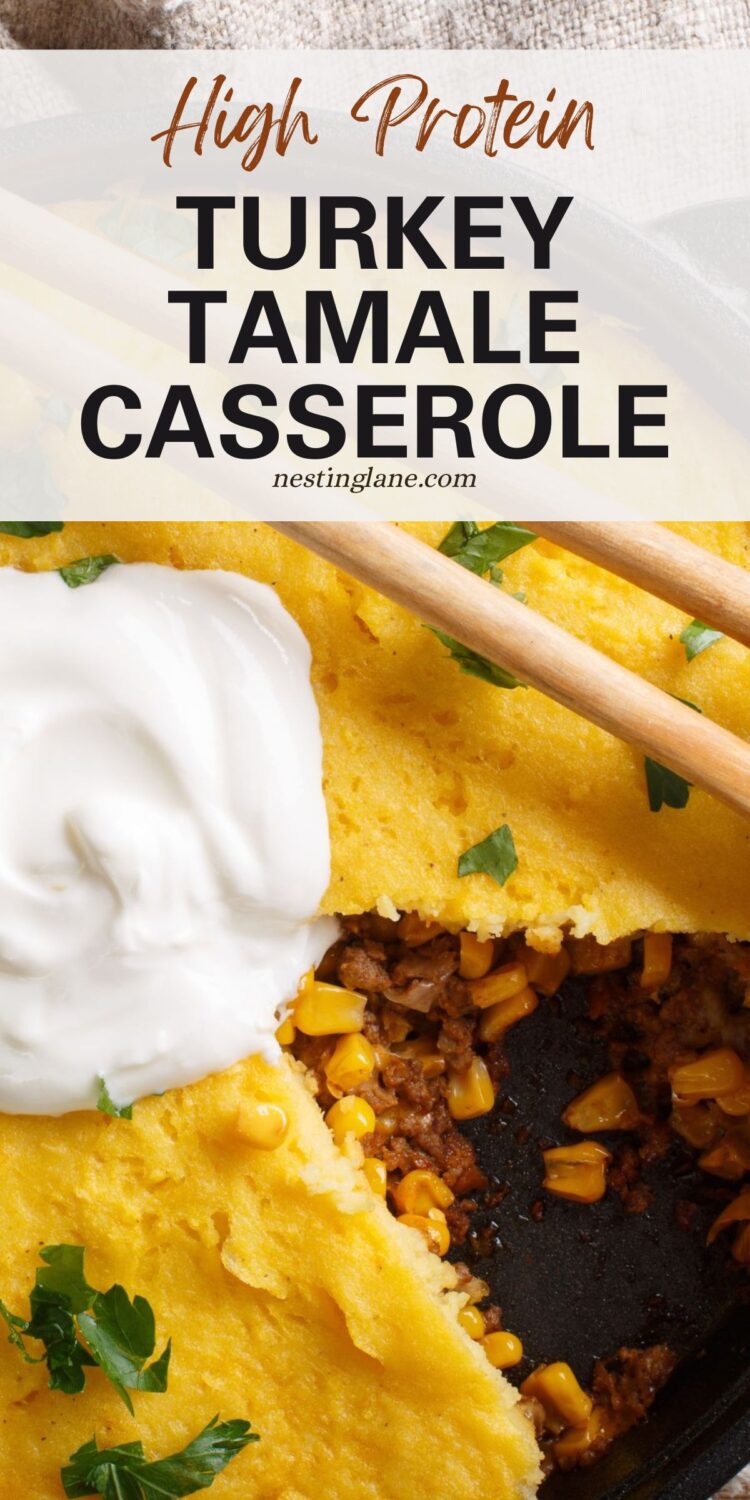 27 Healthy High Protein Mexican Recipes - Nesting Lane