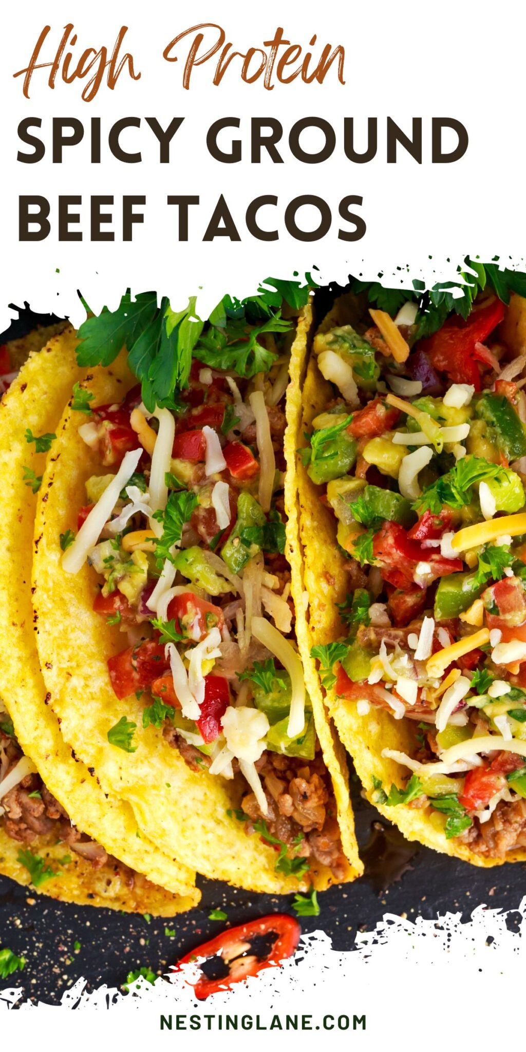 27 Healthy High Protein Mexican Recipes - Nesting Lane