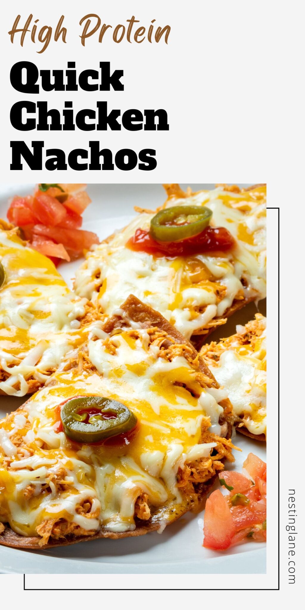 27 Healthy High Protein Mexican Recipes - Nesting Lane