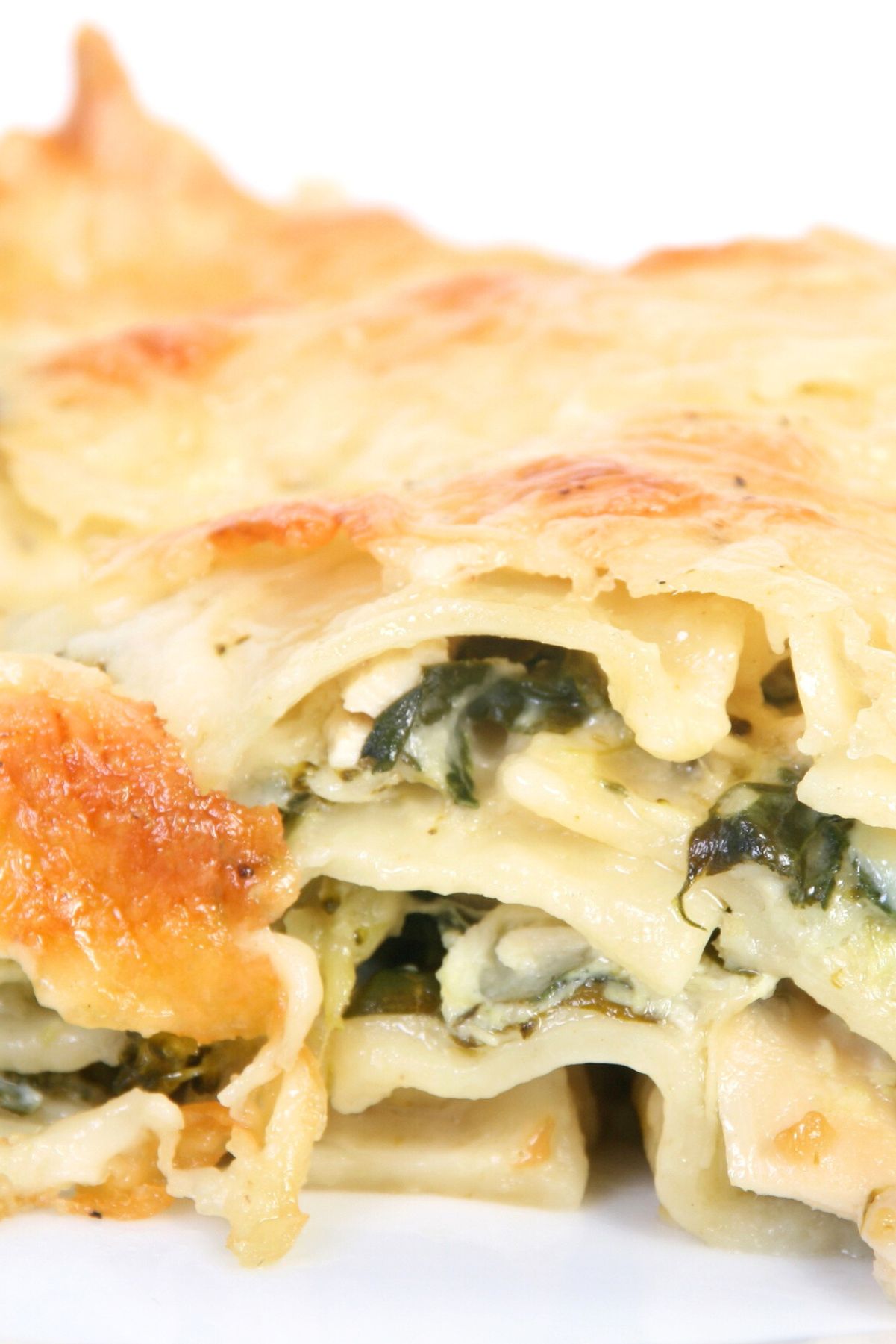 High Protein White Sauce Chicken Spinach Lasagna - Nesting Lane